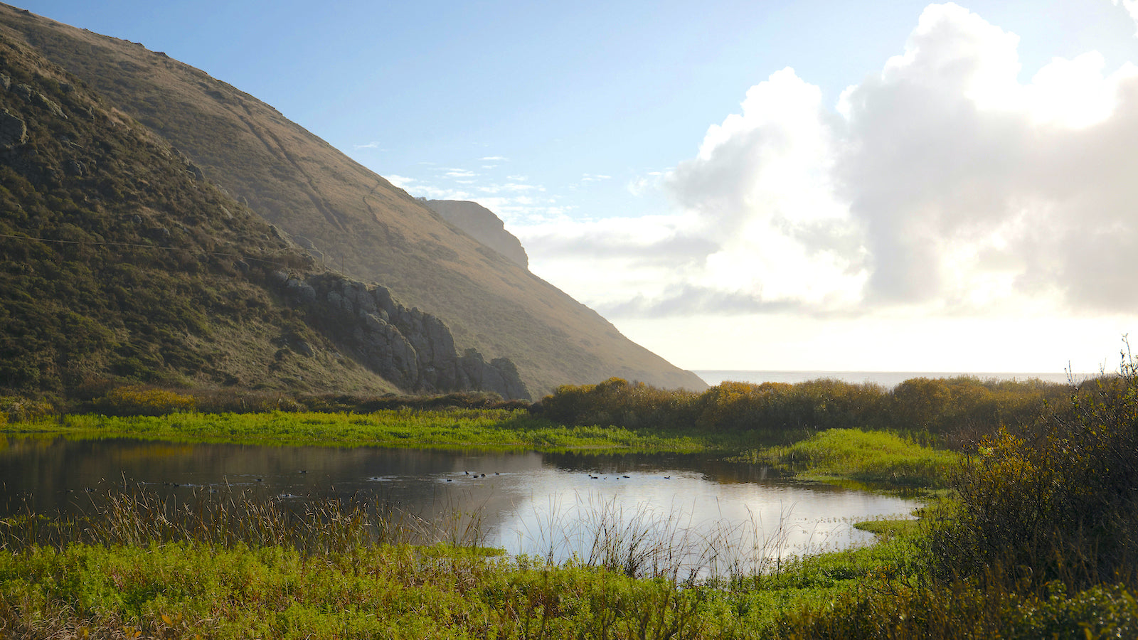 Tennessee Valley – PARK STORE